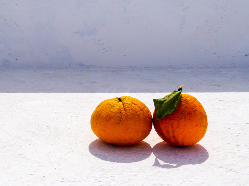 Dr. Bali Gábor - Nők Lapja