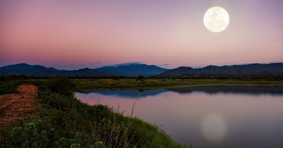 Utat mutat: ilyen hatással lesz csillagjegyedre a júliusi telihold ...