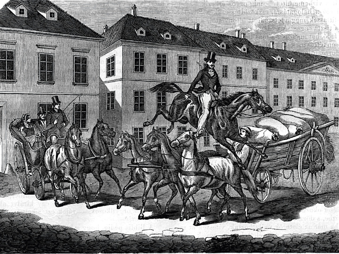 Sándor Móric, az ördöglovas – Fábián Janka írása - Nők Lapja