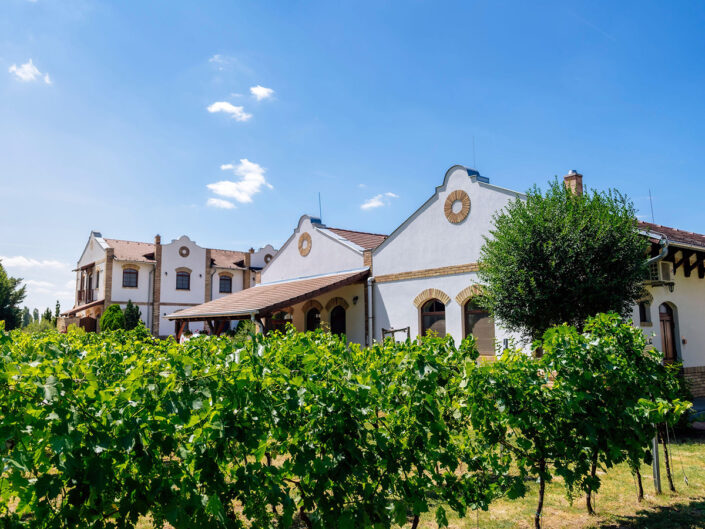 Kikapcsolódás Borotán, a Koch birtokon - Nők Lapja