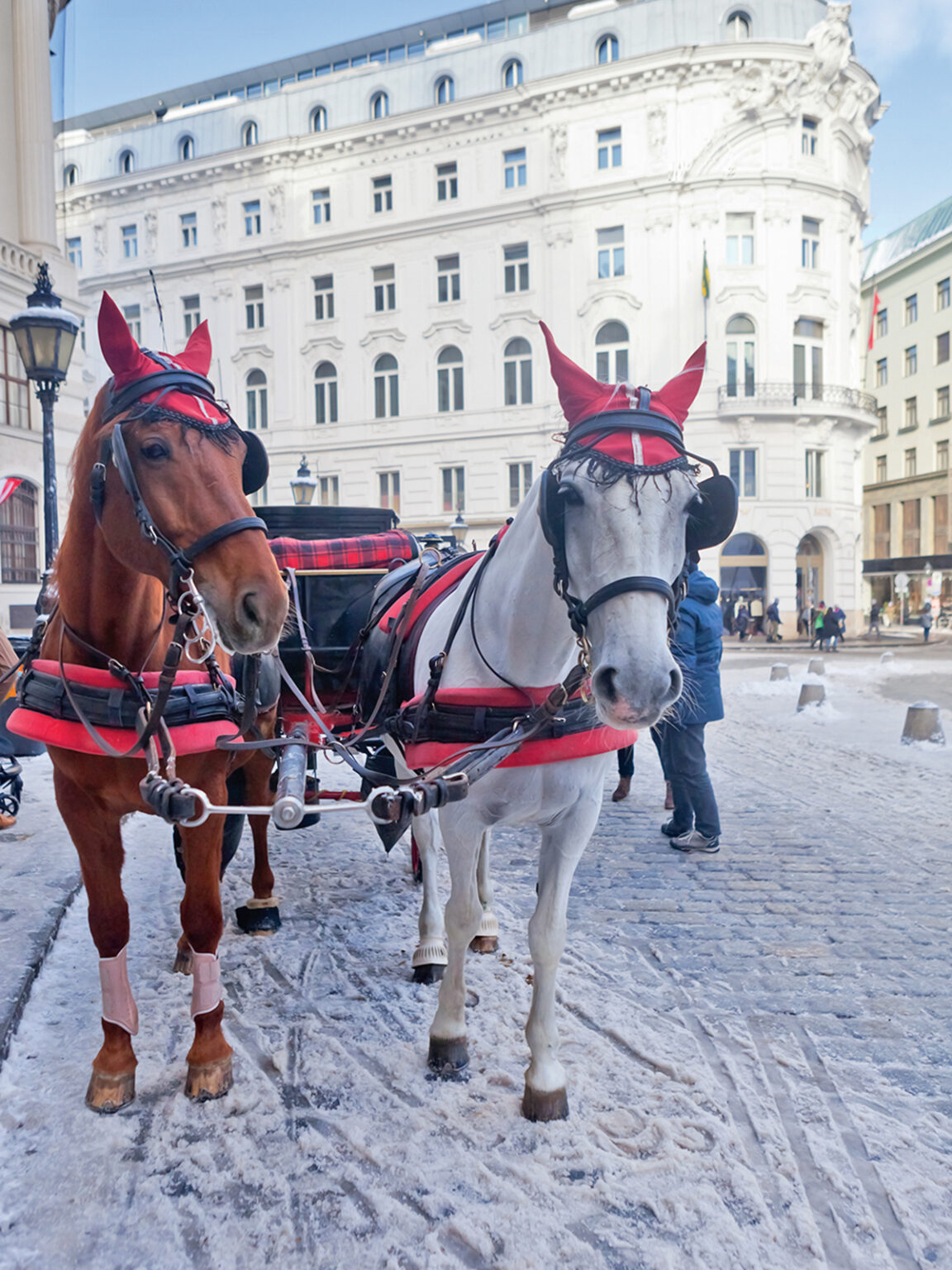 Puncs és forró gesztenye – Vásározás Bécsben - Nők Lapja